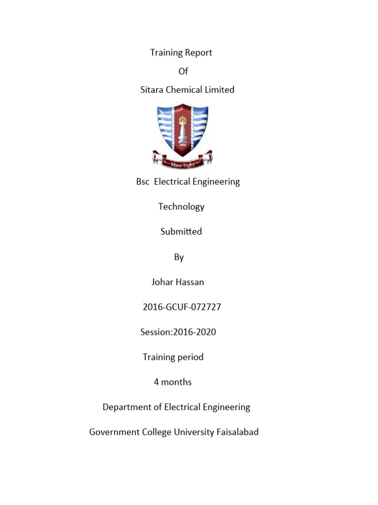 Final Year Project Report Pdf Electric Motor Electric Generator