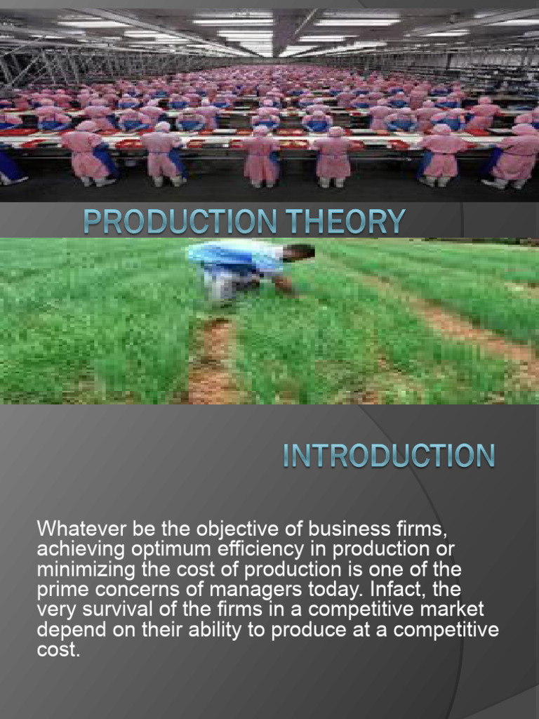Production | PDF | Production Function | Economies Of Scale