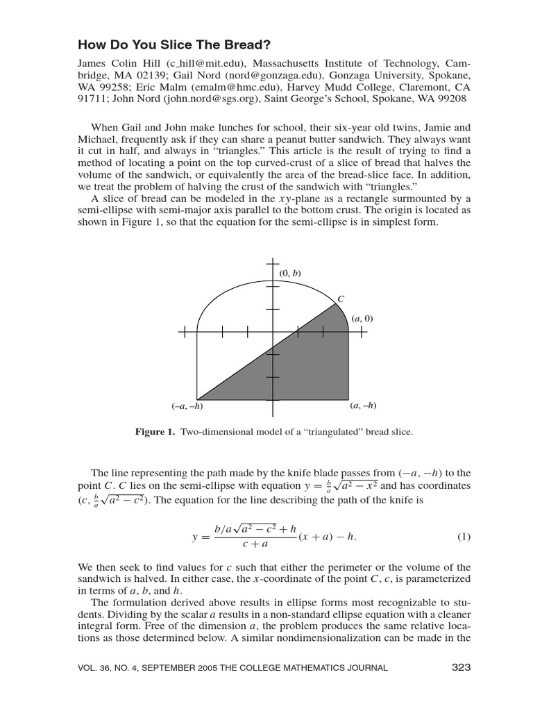 Optimal Bread Slice Cutting | PDF | Area | Ellipse