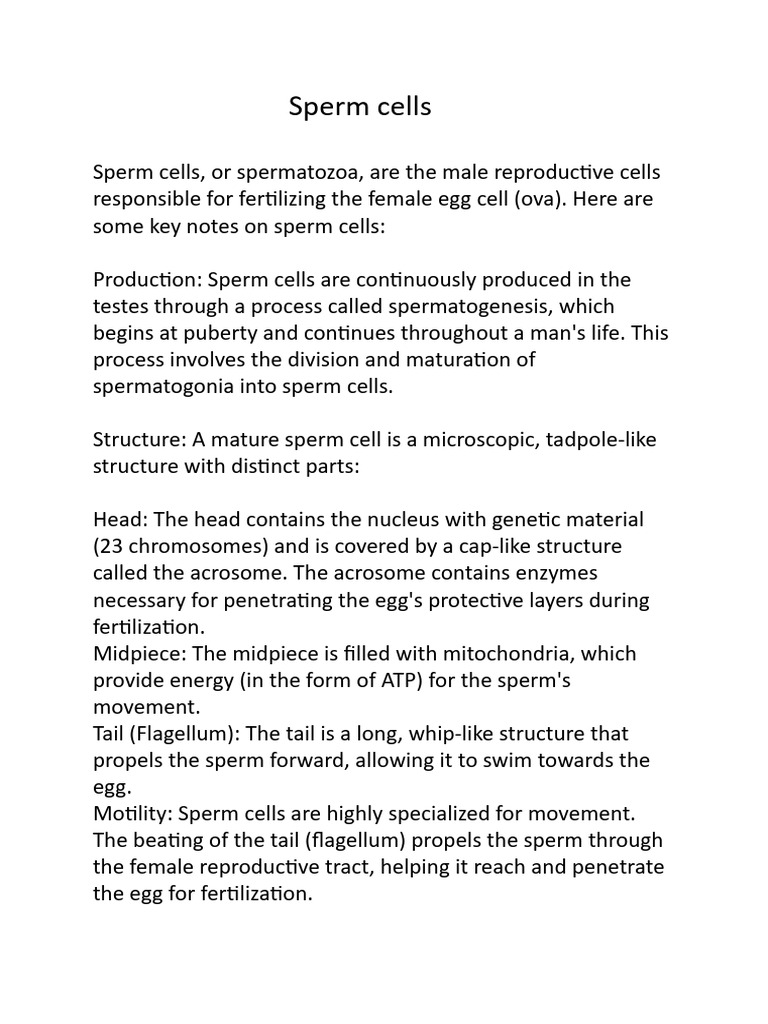 Sperm Cells | PDF | Sperm | Cell (Biology)