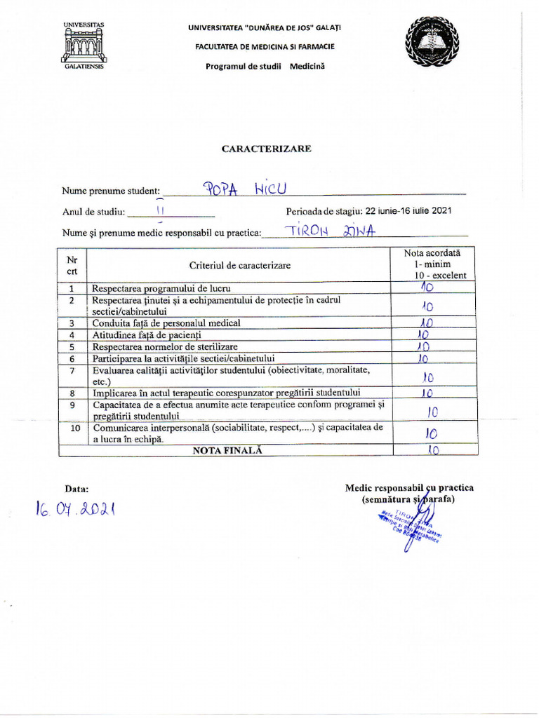 Caracterizare-Practică-MG 2-2021 | PDF