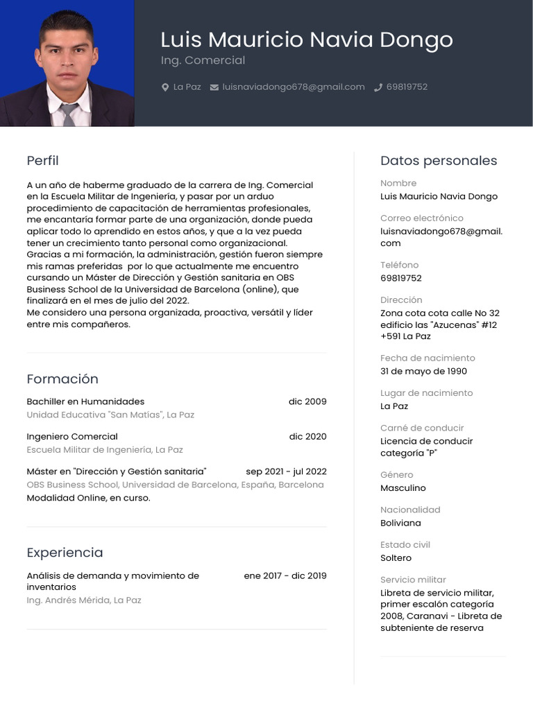 Curriculum Actualizado - Luis Navia Dongo | PDF