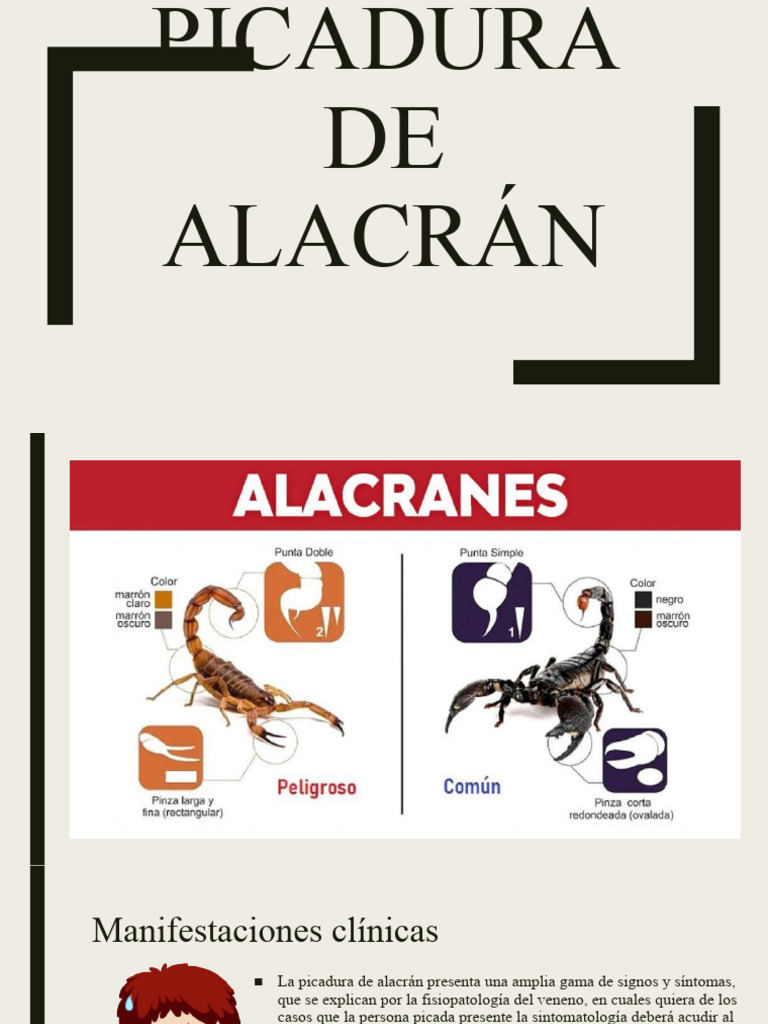 Picadura de Alacrán | PDF | Enfermedades y trastornos humanos ...
