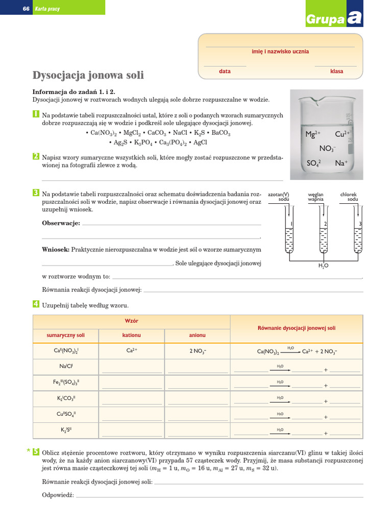 Dysocjacja Jonowa Soli Sprawdzian Klasa 8 | PDF