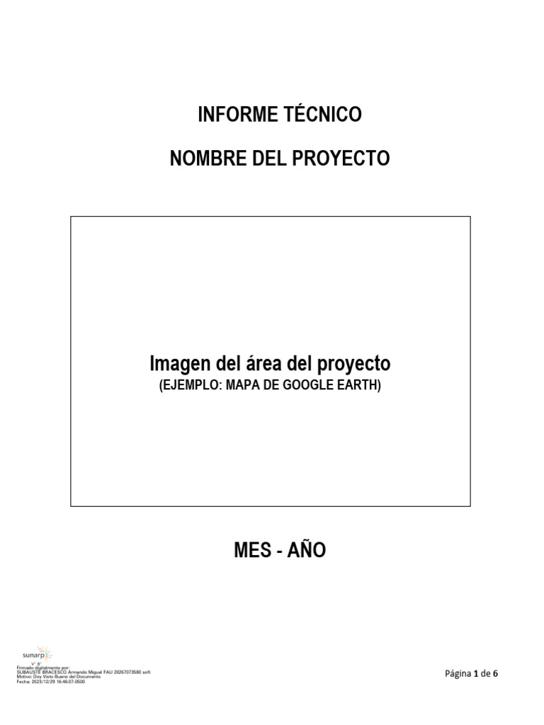 Anexo D FORMATO DE INFORME TECNICO | PDF | Software | Informática