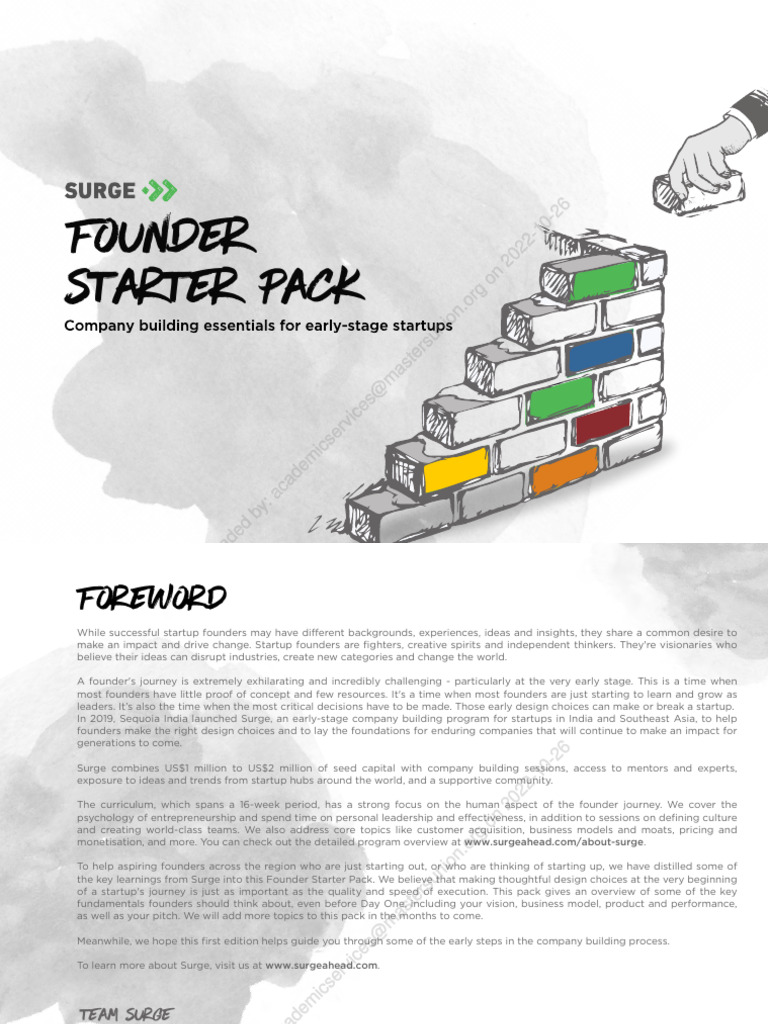 VIP 1 Starter Pack | PDF | Startup Company | Small Business & Entrepreneurs