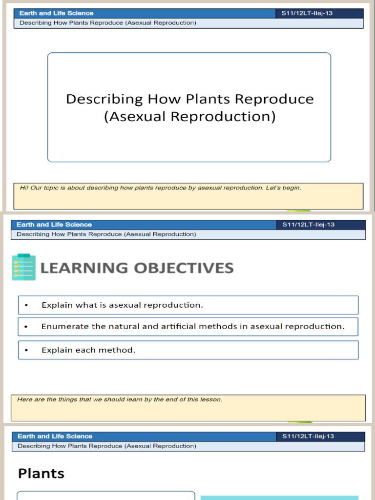 Els Q2 Asexual Reproduction Pdf