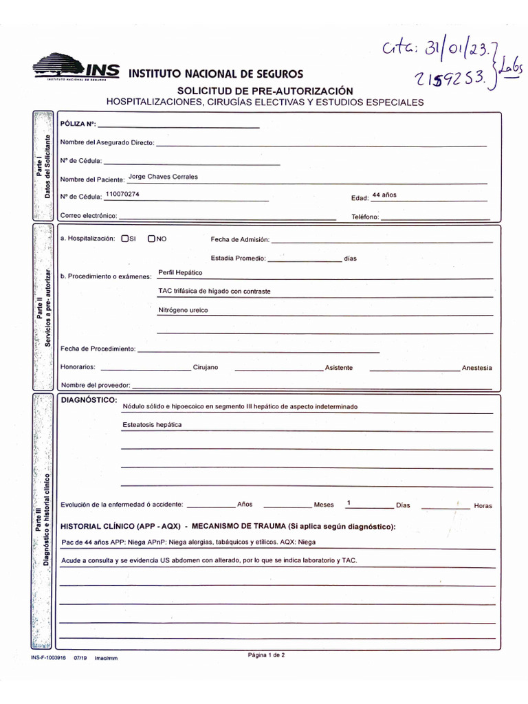 Solicitud preautorizacion INS | PDF