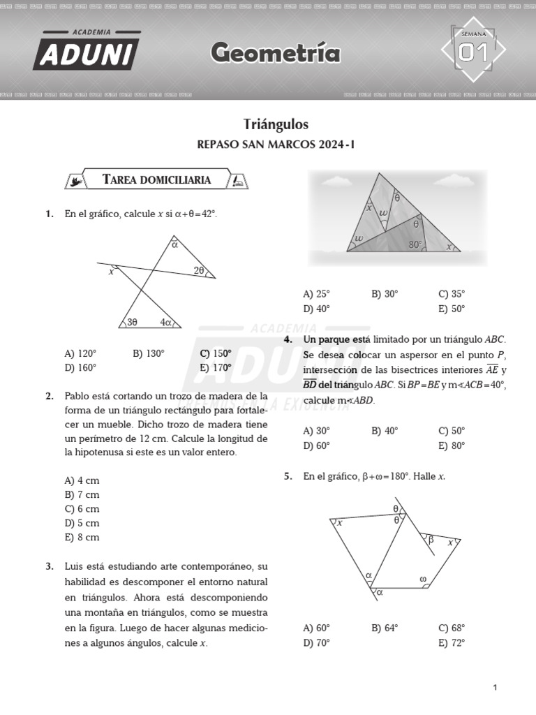 Ejercicios de Geometría Triangular | PDF