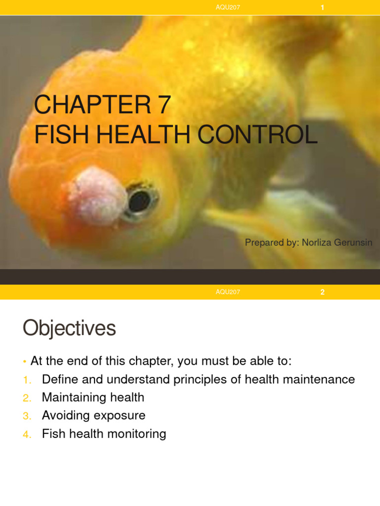 AQU207-Chapter 7 Fish Health Control | PDF | Disinfectant ...