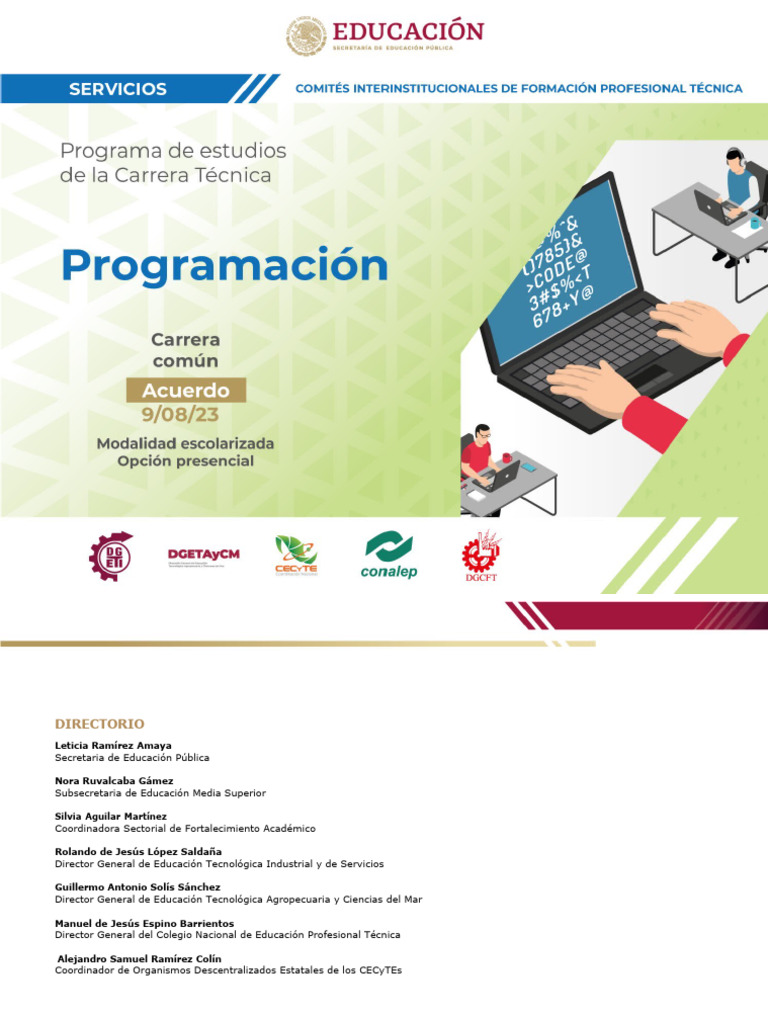 Programa de Estudios Programacion2024 | PDF | Plan de estudios | Software