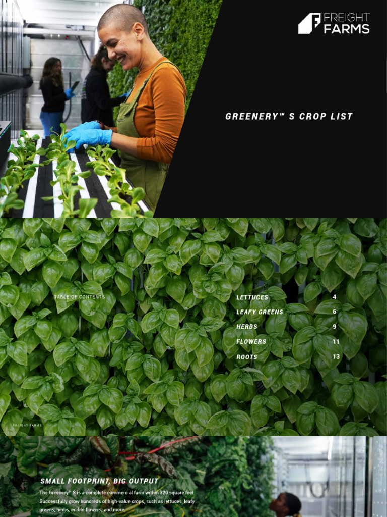 Greenery™ S Crop List | PDF | Leaf Vegetable | Basil