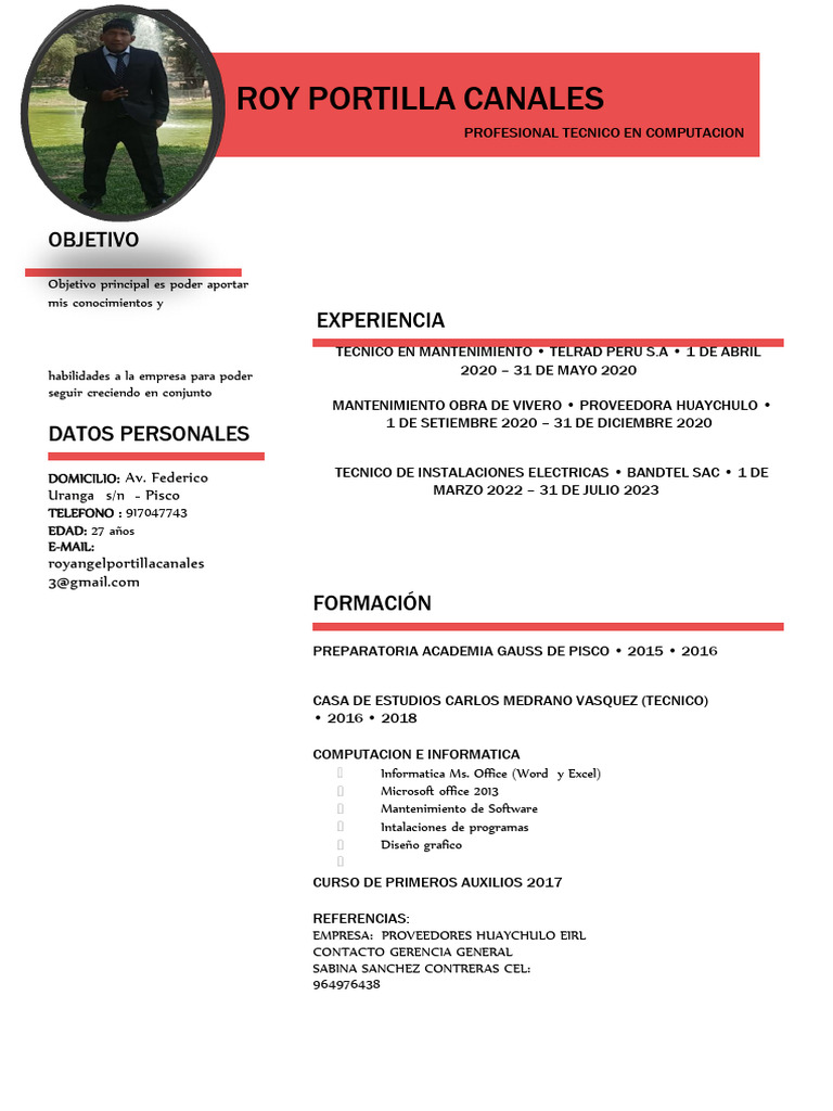 Cv Portilla Canales Roy | PDF | Ministerio (Departamento de Gobierno ...