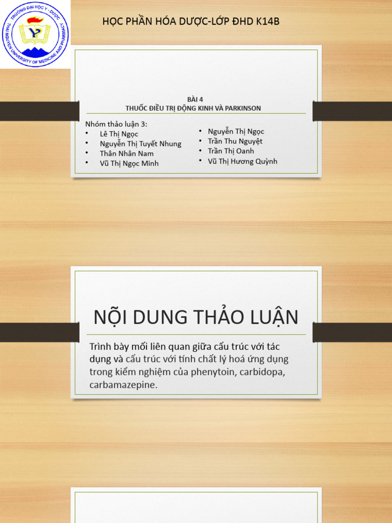 Thao Luan | PDF