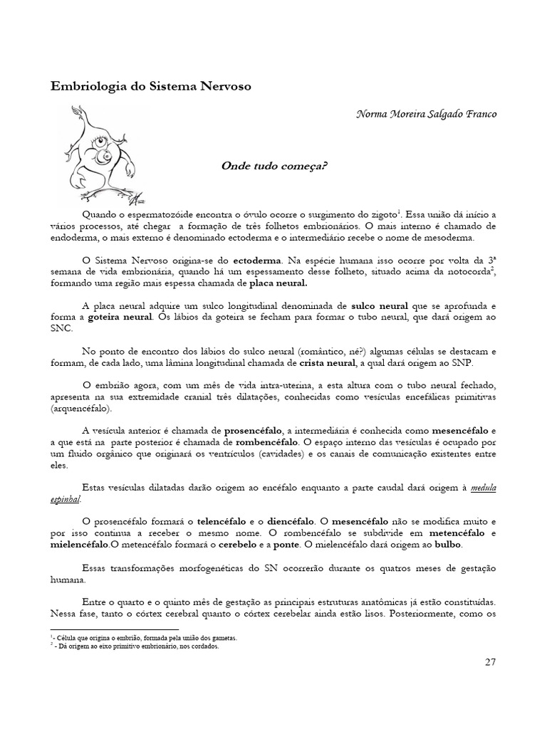 Embriologia Do Sistema Nervoso - Cap Tulo 23.1 | PDF