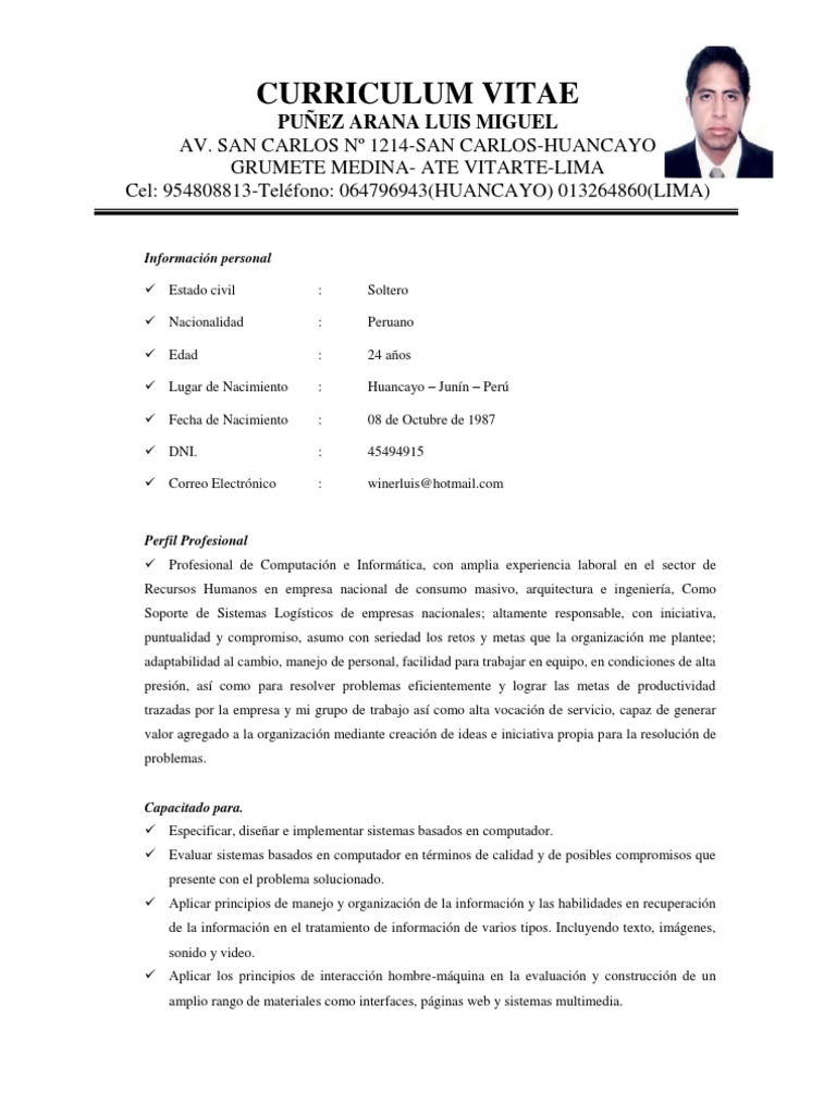 Curriculum Luis Admi | PDF | Microsoft | Microsoft Windows