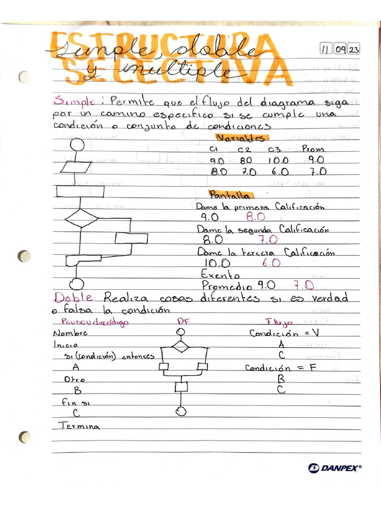 Estructura Selectiva Simple Doble YMultiple | PDF