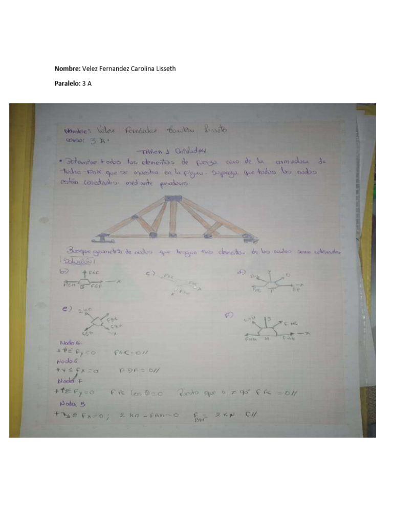 Carolina Velez | PDF