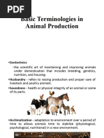 General Terminologies in Livestock | PDF | Cattle | Pig