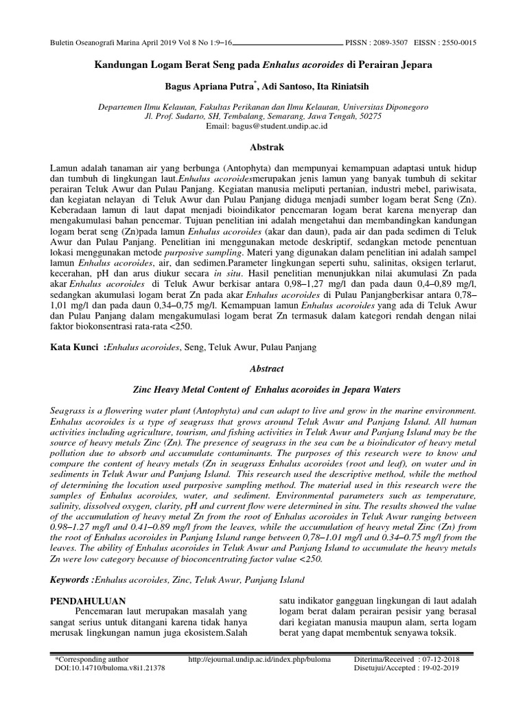 Kandungan Logam Berat Seng Pada Enhalus Acoroides Di Perairan Jepara | PDF