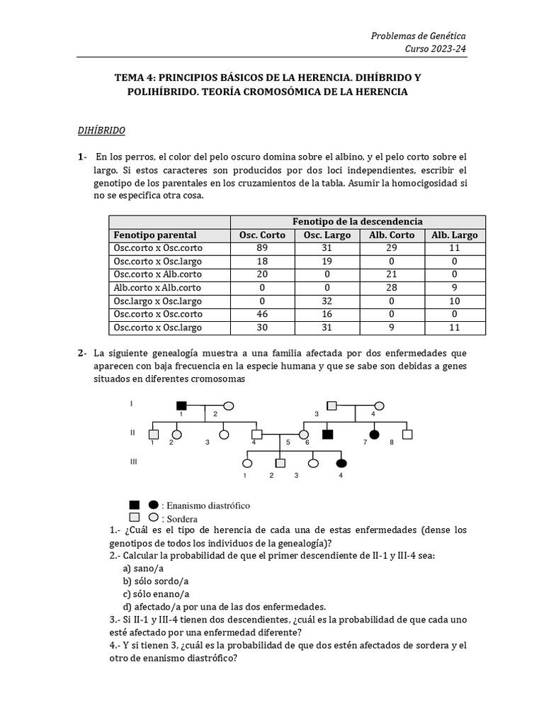 Problemas y Soluciones. Tema 4 | PDF | Dominancia (Genética) | Cigosidad