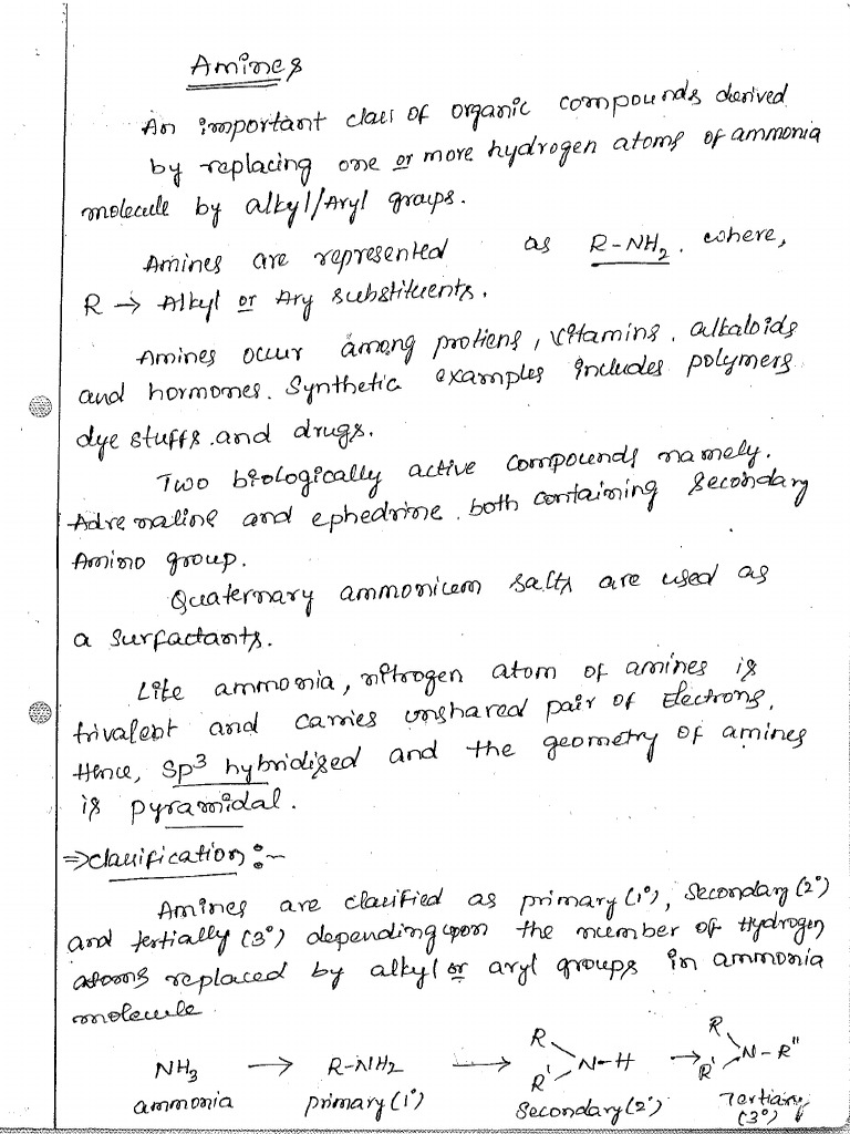 Amines Notes | PDF