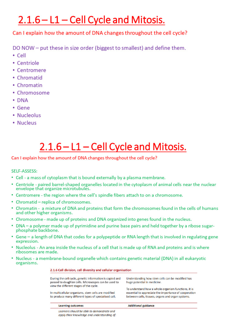 L1 - Cell Cycle and Mitosis | PDF | Mitosis | Cell (Biology)