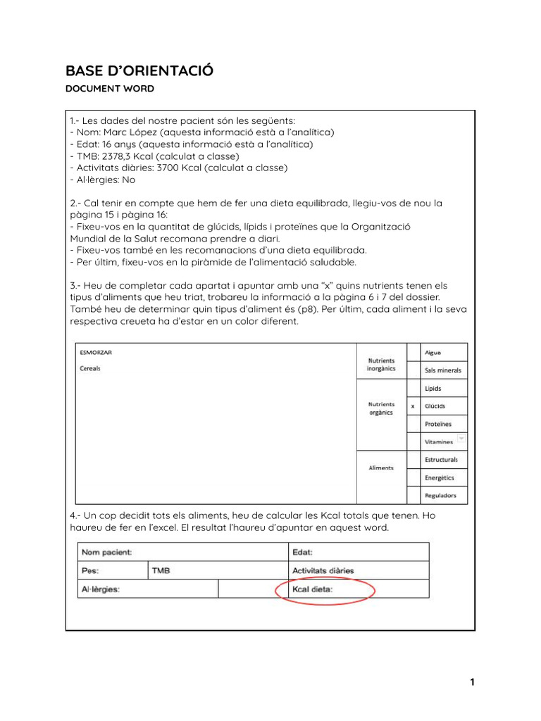 Base D'orientació | PDF