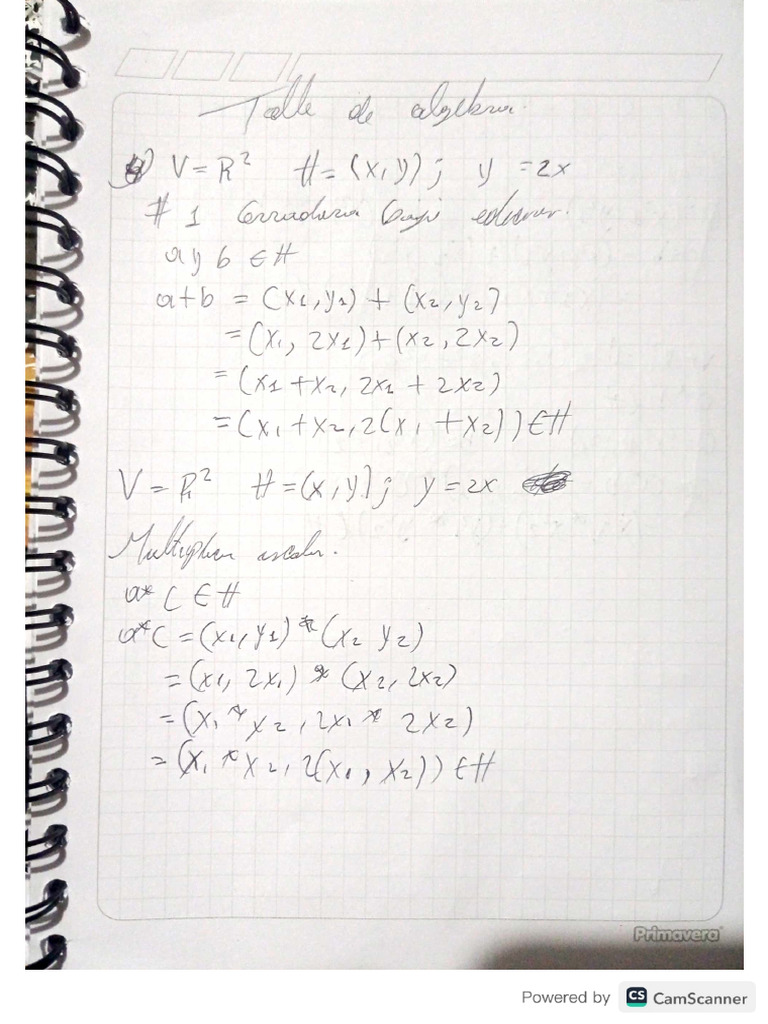 Taller Espacio Vectorial Pdf