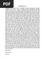 Hiibboo Afaan Oromoo | PDF