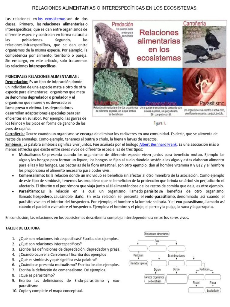 Relaciones Alimentarias o Interespecíficas en Los Ecosistemas | PDF ...