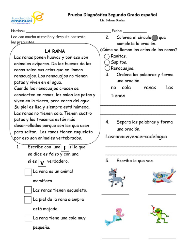 Pruebas Diagnósticas de Español 2° a 4° Grado | PDF | Rana