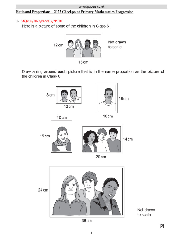 2022 Ratio and Proportions Checkpoint - Primary - Progression | PDF