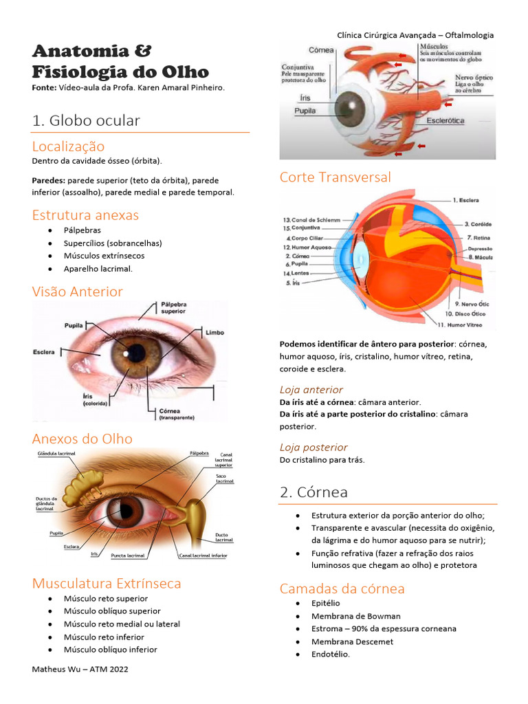 1 - Anatomia e Fisiologia Do Olho | PDF | Olho humano | Córnea