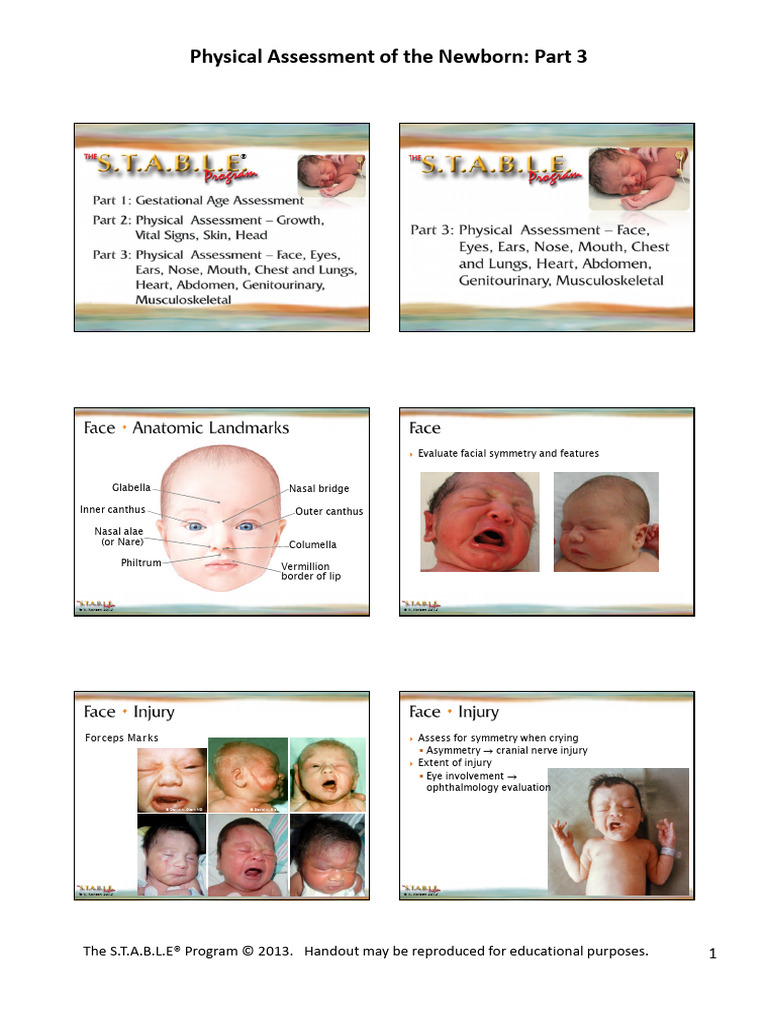 PE 2nd Edition Part 3. 6 Per Page Color | PDF | Thorax | Esophagus