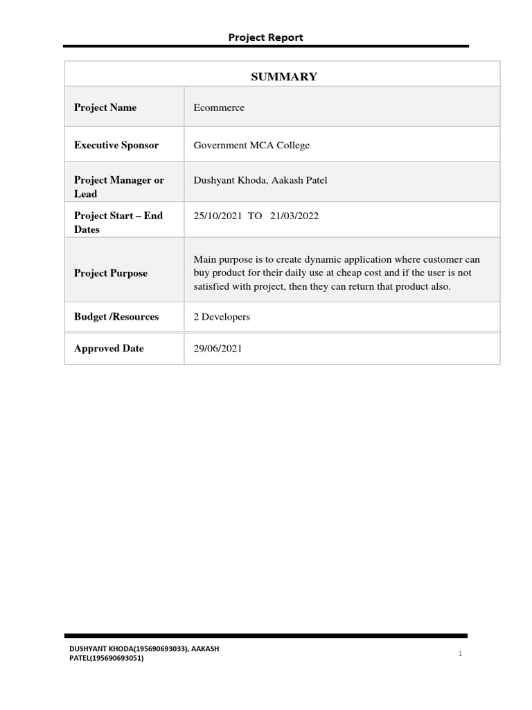 Project Report | PDF | E Commerce | Software Development Process
