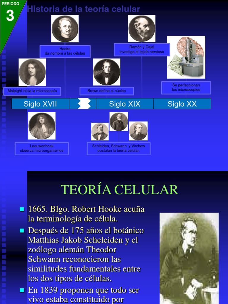Evolución de la Teoría Celular | PDF | Biología Celular) | Organismos