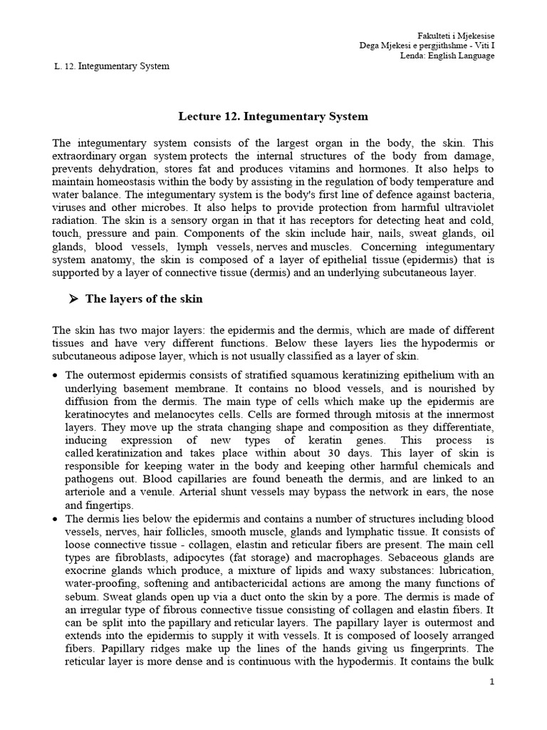 L.12 - Integumentary System | PDF | Integumentary System | Skin