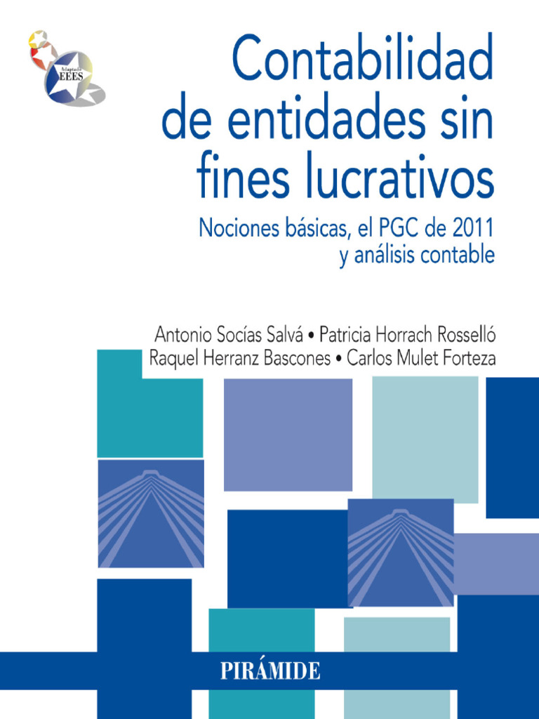 Contabilidad de Entidades Sin Fines Lucrativos. Nociones Básicas, El PCG de 2011 y Análisis ...