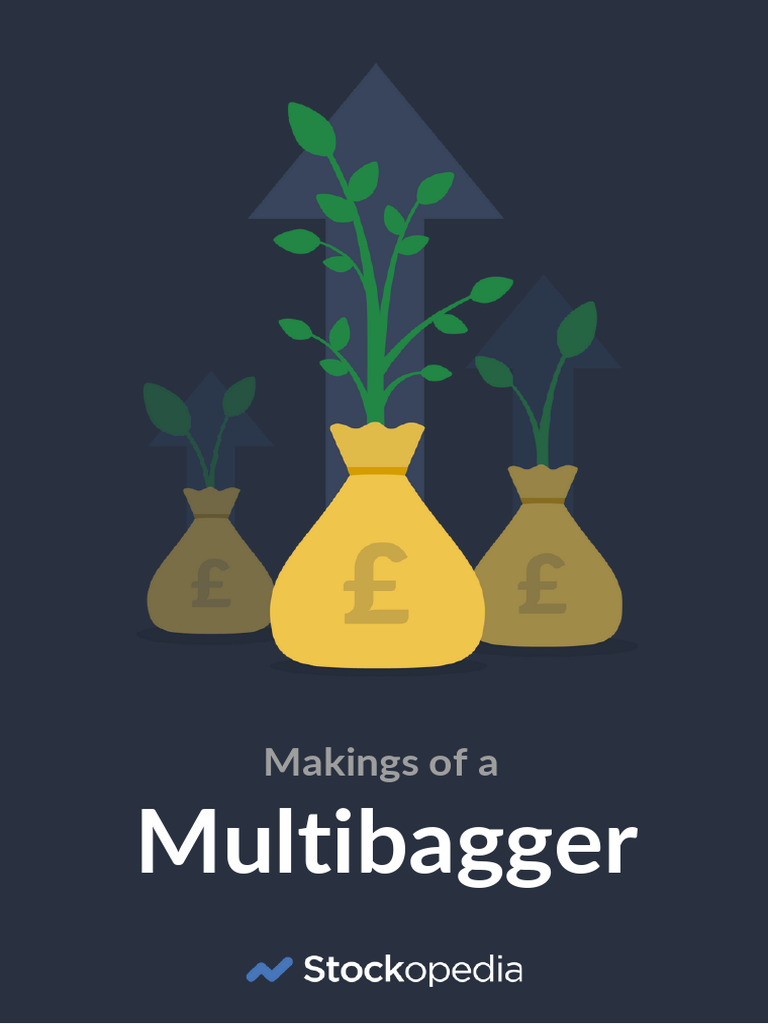 Makings of A Multibagger | PDF