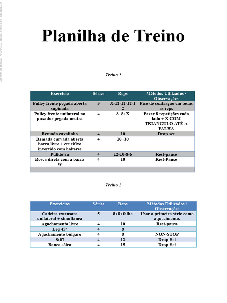 Planilha de Treino 10 | PDF | Musculação