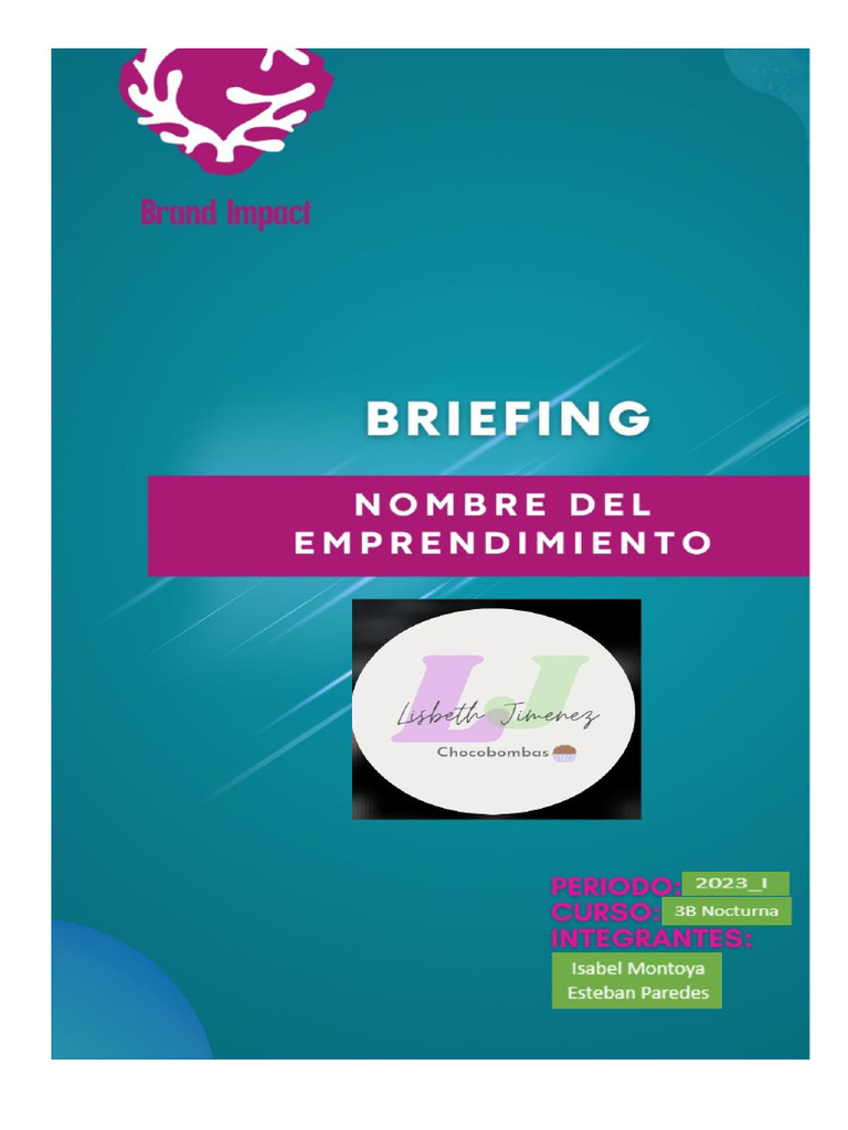 BRIEFING | PDF