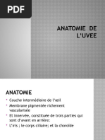 Anatomie de la Conjonctive Oculaire | PDF | Cornée | Épithélium