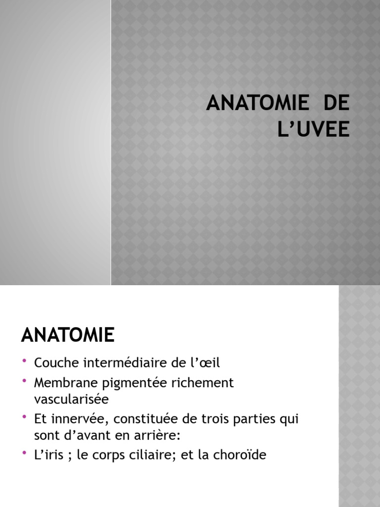 Anatomie de l'uvée de l'œil | PDF