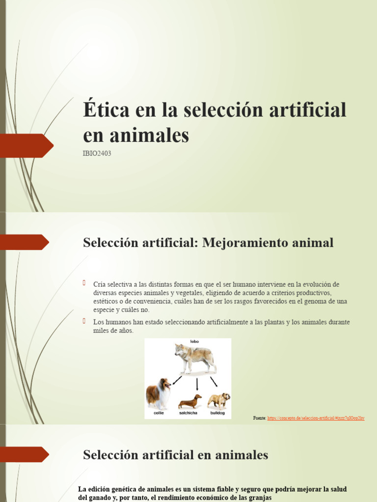 Etica en Selección Artificial | PDF | Crianza selectiva | Entorno natural