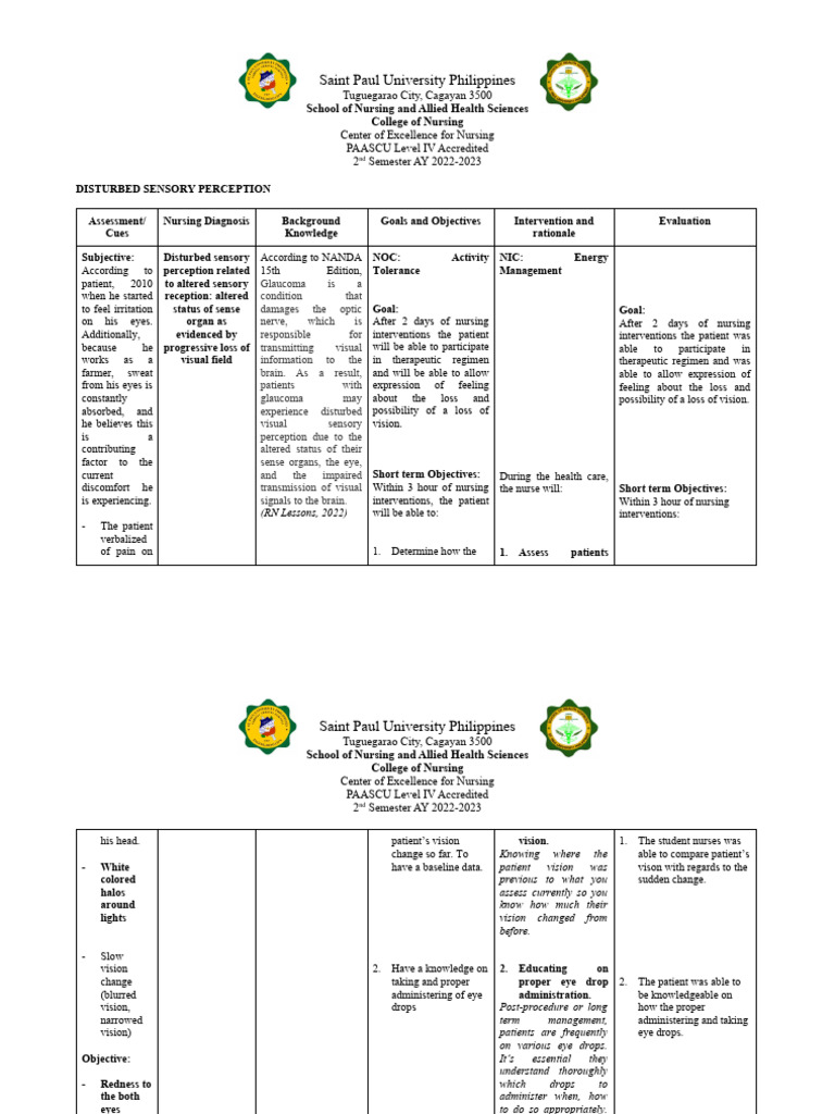 Ncp Glaucoma Pdf Nursing Visual Perception