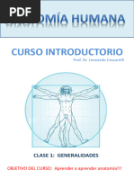 Músculos del Torso y Extremidades | PDF | Sistema musculoesquelético ...