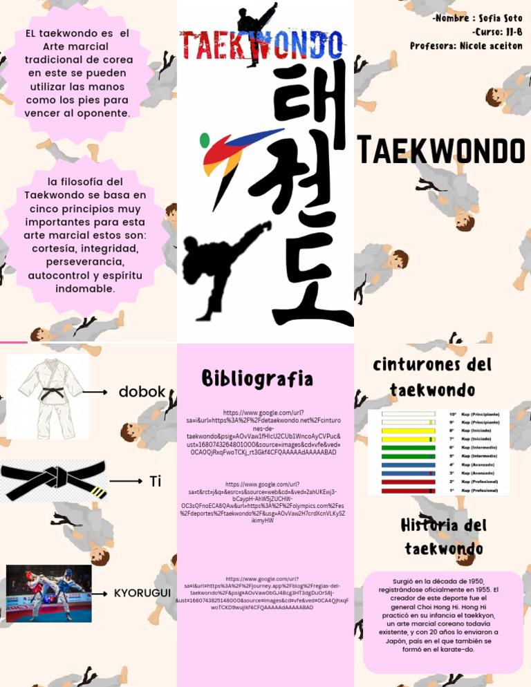 Taekwondo | PDF | Taekwondo | Las artes