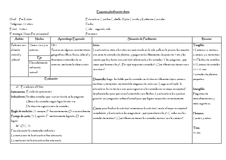 Mapa Preconceptual | PDF