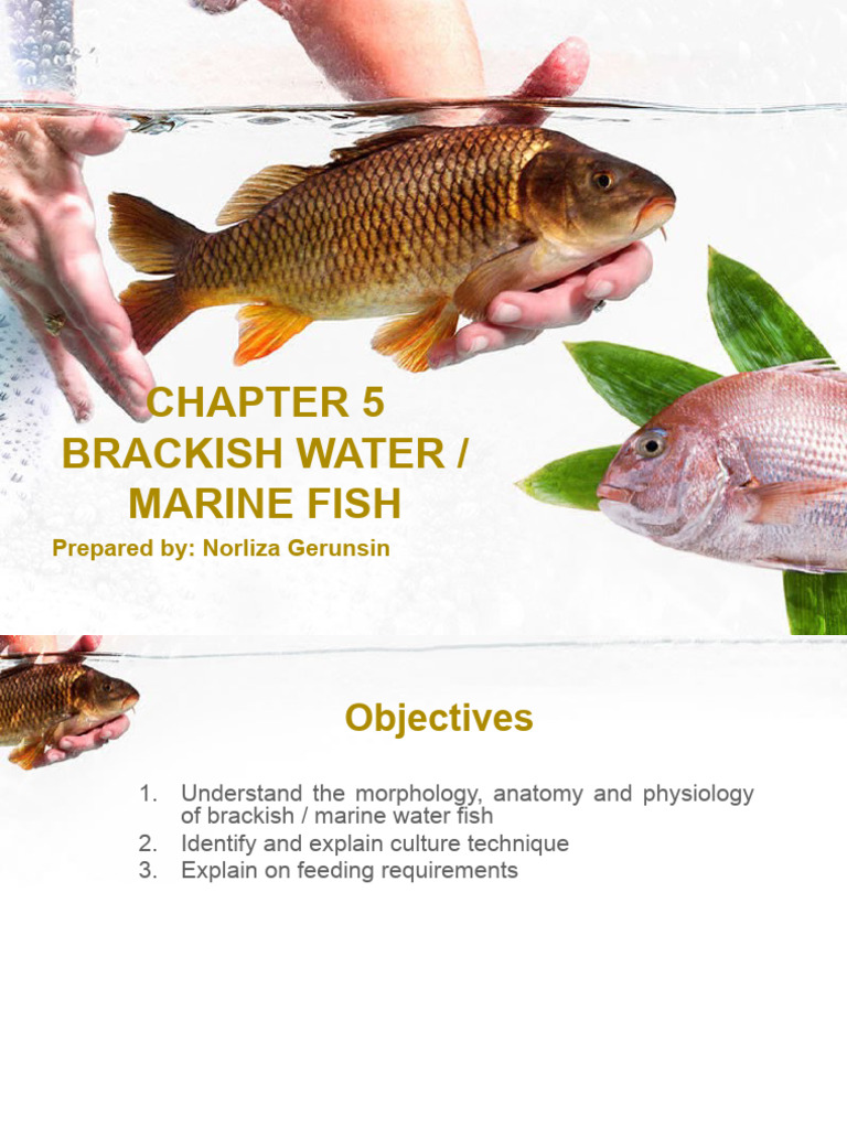 Brackish Water Fish Culture Overview | PDF | Plankton | Systems Ecology